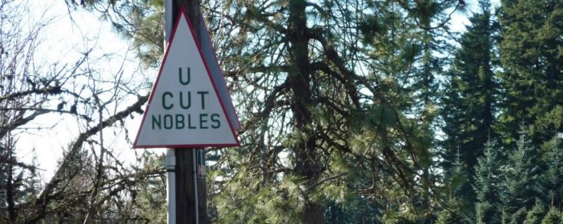 U Cut Christmas Tree Farm Near Portland Oregon * U-Cut Noble Christmas ...